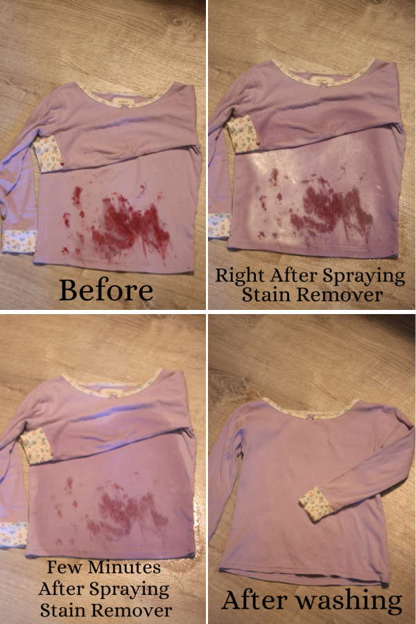 DIY Stain Remover - Our Life With Purpose